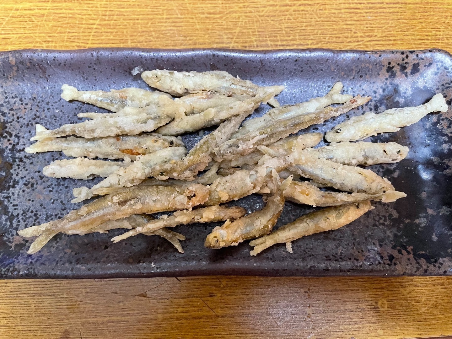 2月22日 わかさぎ釣り: 那珂川鮎太郎2